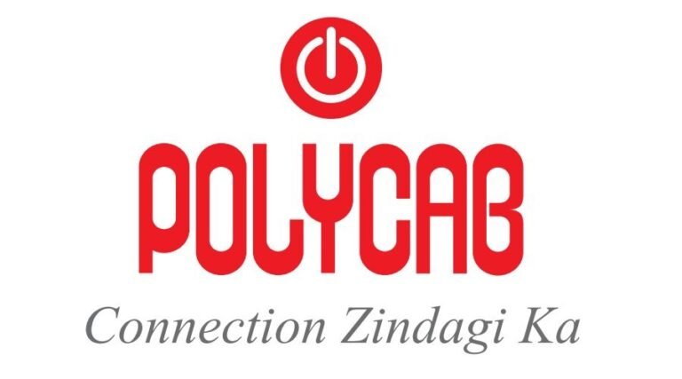 Polycab India Q3 Report: Impressive Revenue and Profit Growth 2025 ...